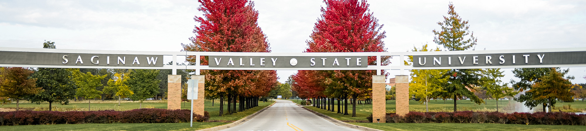 Certifications and Endorsements - SVSU