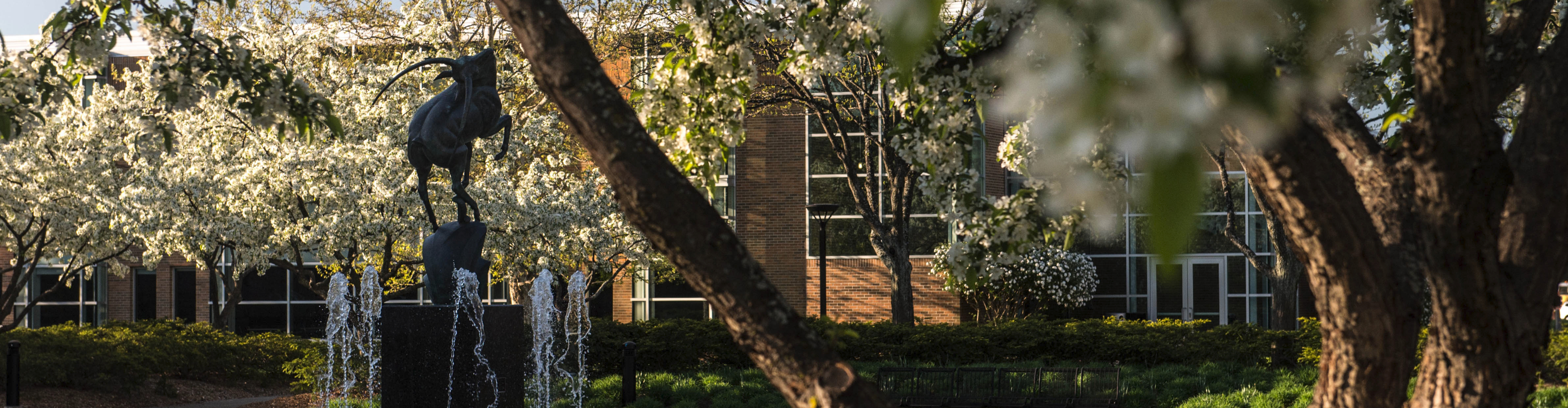 Office of Academic and Student Affairs - Saginaw Valley State University