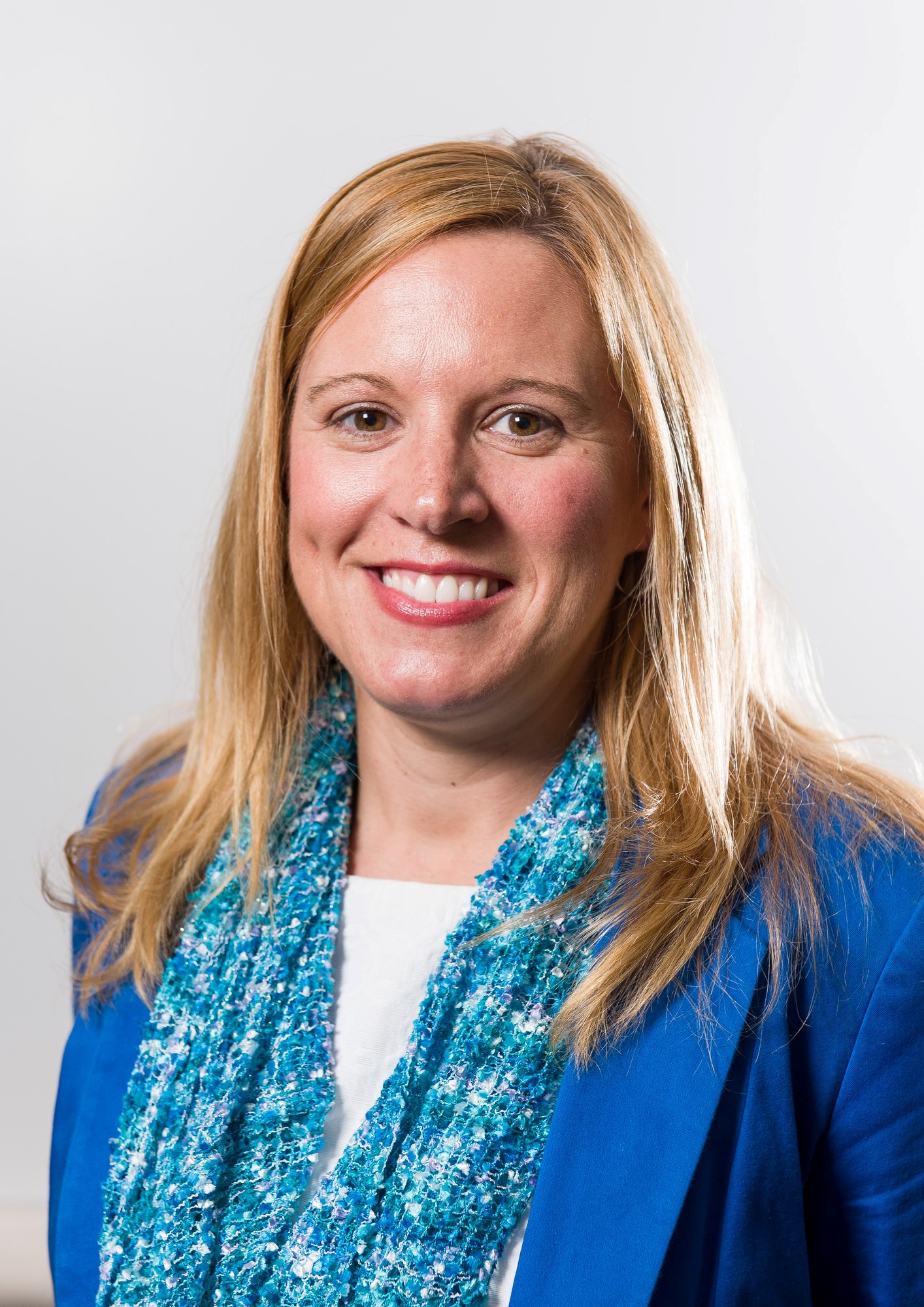 2015-2016 Fellows - STEM - SVSU