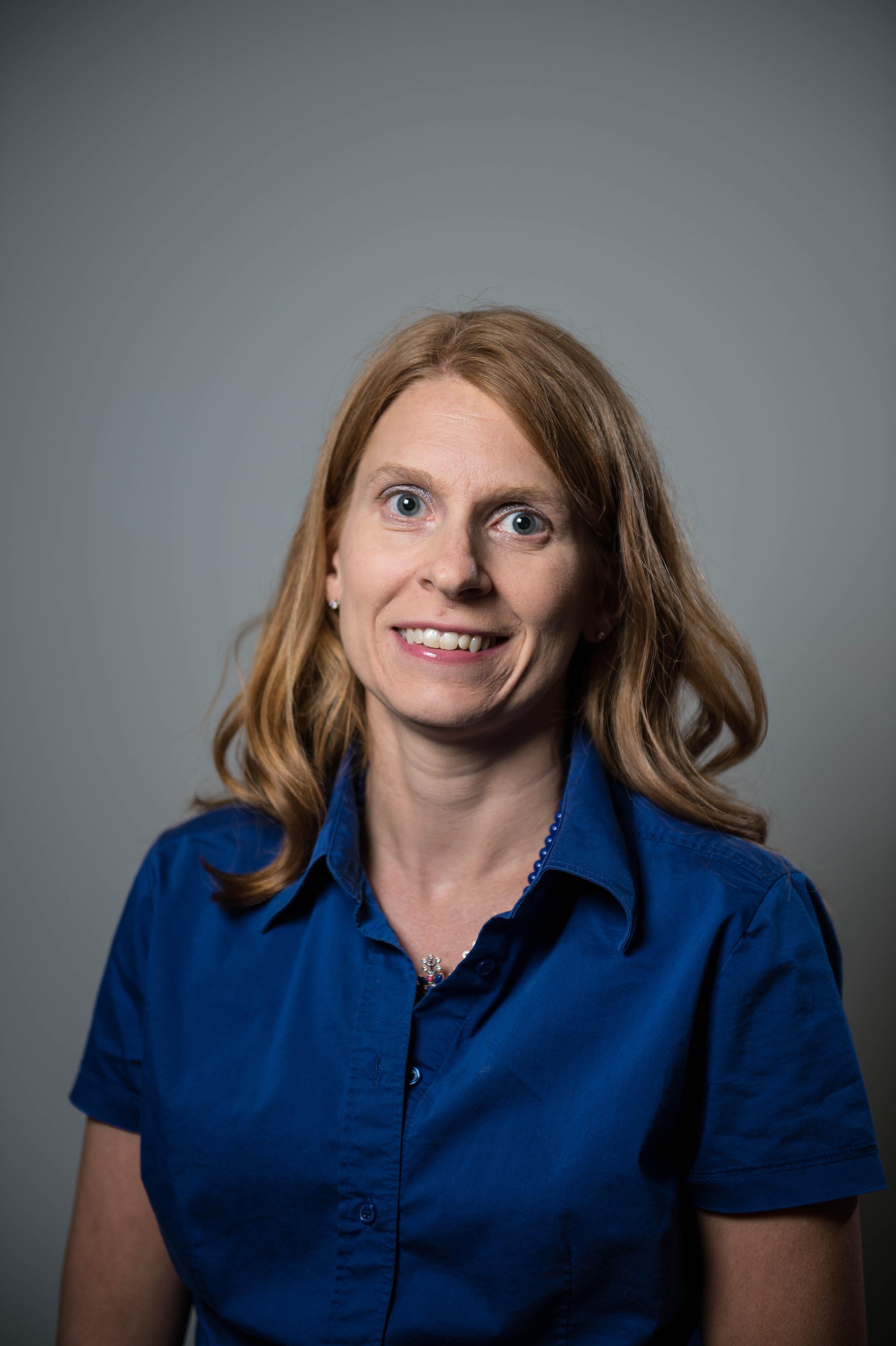 2016-17 STEM Fellows - Saginaw Valley State University