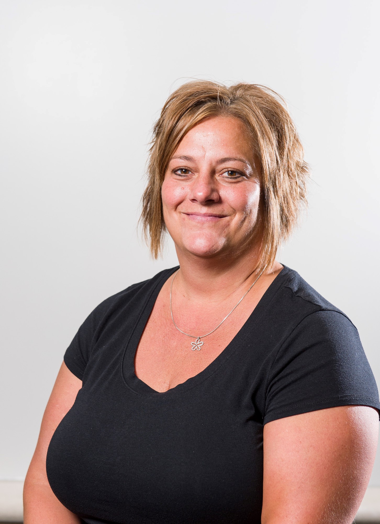 2015-2016 Fellows - STEM - SVSU