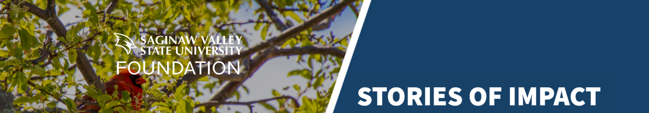 Stories of Impact - Foundation - SVSU