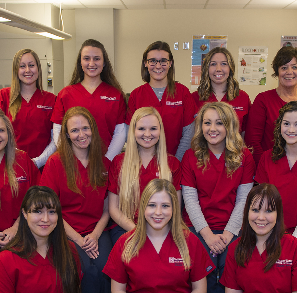 Bachelor’s of Health Science