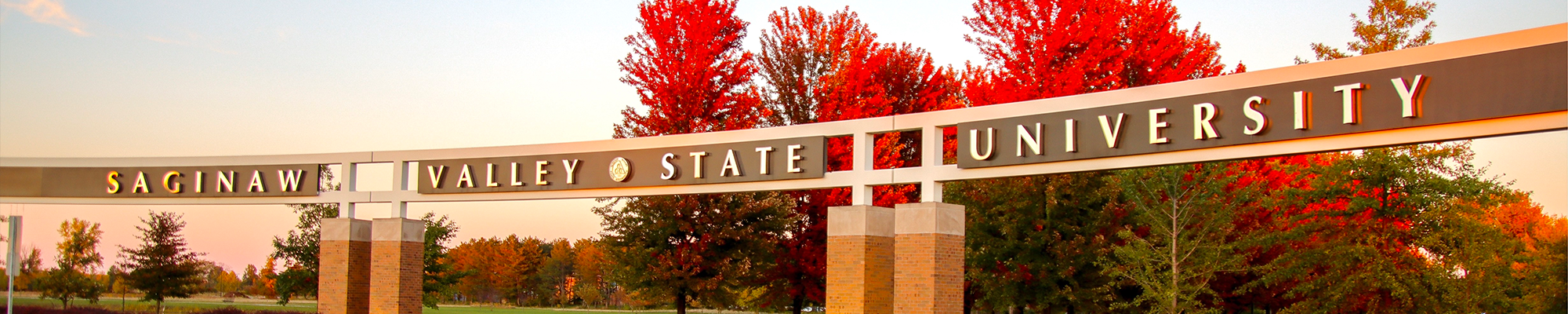 Costs & Scholarships - Office of International Programs - SVSU